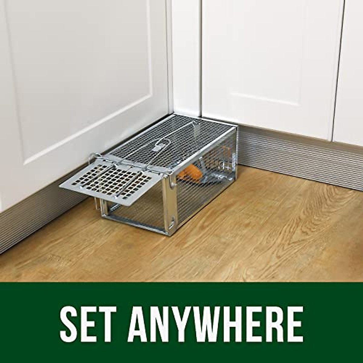 Garsum Humane Mouse Trap, Squirrel Trap, Live Animal Trap, Rodent Cage Catch Mice, Squirrels, Chipmunks, Hamsters for Indoor and Outdoor, Catch and Release, 1 Trap