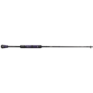 Lew's Team Lew's Pro-Ti Speed Stick 6'10"-1 Medium Extra Fast Spinning Rod