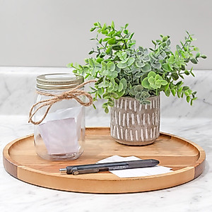 Cornucopia Brands Small Coin Bank Jars (4-Pack, Clear); 16oz Clear Plastic Mason Jar Coin Banks w/Gold Slotted Lids