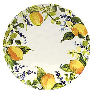Certified International Lemon Zest Melamine 11" Dinner Plates, Set of 6, Multicolor