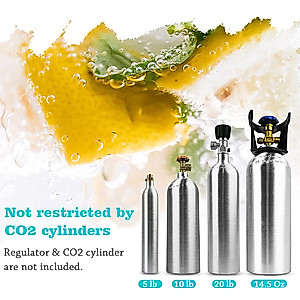 Sparkling Water Maker, Commercial Soda Maker Fizzy Drink Machine Carbonator for Home, Countertop Ice Water Cooler Dispenser and Room Black