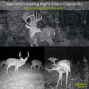 TACTACAM Reveal X Cellular Trail Camera - Verizon (2 Pack)