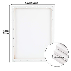 Laoife-11x14 Inch 8 Pack Professional Painting Canvas Panels Artist Blank Canvas Boards Multi Pack Wood Frame, Stretched Ready to Paint