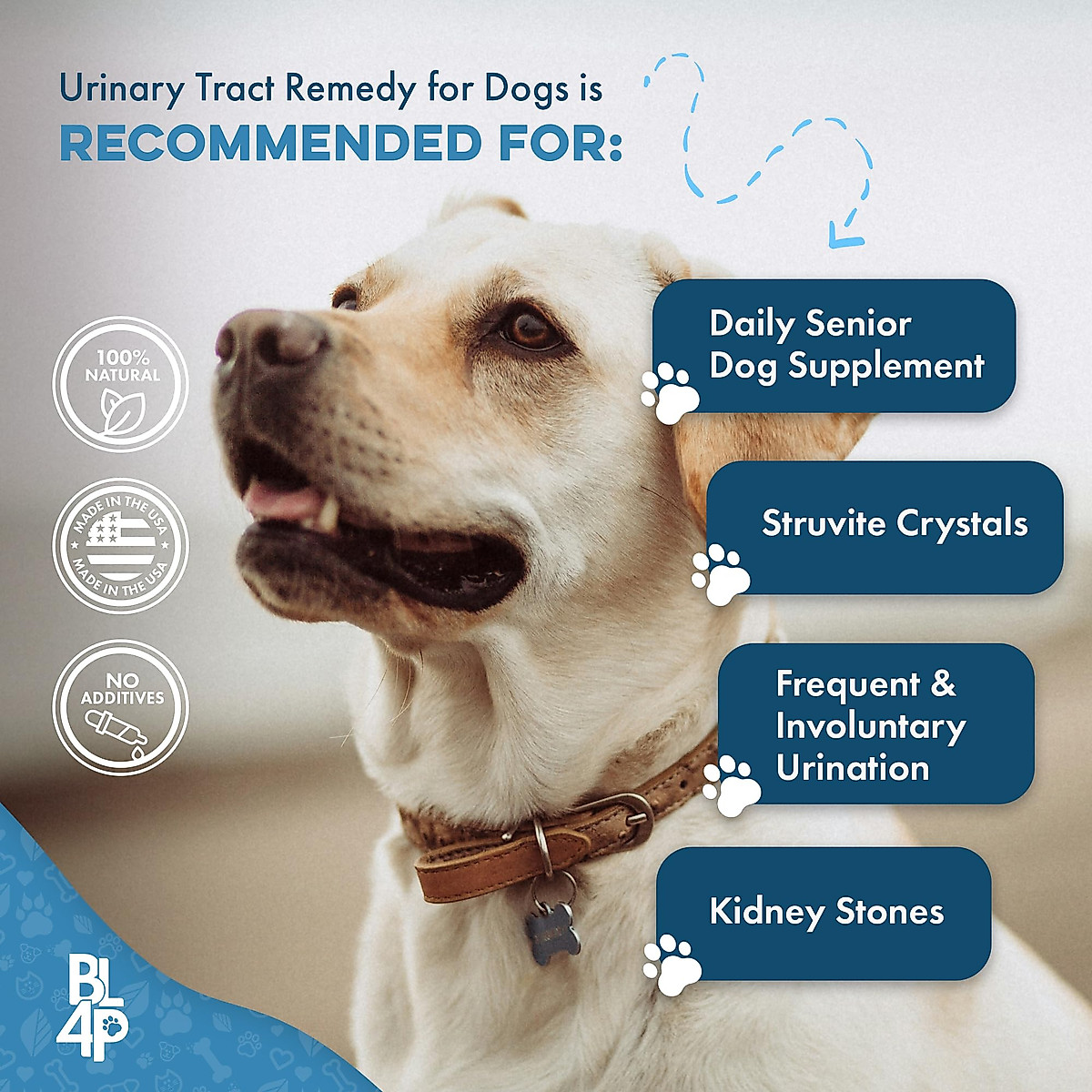 Dog UTI Treatment, Bladder & Kidney Support - Natural Incontinence and Bladder Control for Dogs Reduces Urinary Tract Infections, Flush Out Kidney Stones & Improves Dog Kidney Health - 400 Tiny Pills