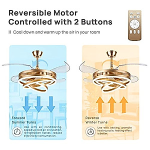 Minfeng Retractable Ceiling Fan with Lights and Remote Control, 42 Inch Farmhouse Ceiling Fans for Bedroom, Living Room, Study, Patio, (Gold)