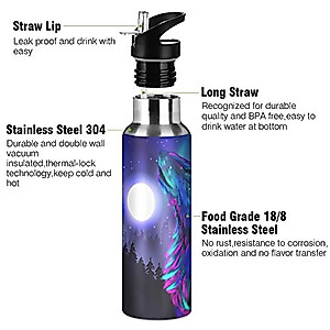 Galaxy Animal Wolf Abstract Water Bottle Vacuum Insulated Stainless Steel Thermos Mug Kids Water Bottle with Straw and Handle Keep Hot Cold Sport Bike Fit Travel Outdoor 20 oz
