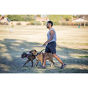 TASER StrikeLight 2 Rechargeable Self-Defense Flashlight | Perfect for Running, Jogging, Pet Walking | Portable, Lightweight, Survival, Outdoors (White)