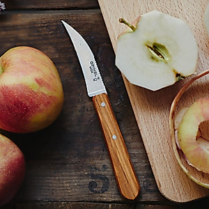 OPINEL Essential Single Kitchen Knife, Cooking Tool Bird's Beak Knife, Veggie Knife, Painted Hornbeam Wood Handles, Made in France (No. 114, Blue)