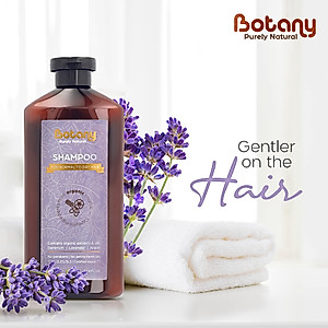 Botany Natural Shampoo for Normal to Dry Hair with Organic Argan Oil, Geranium, and Lavender - Vegan Shampoo for Women and Men SLS/SLES, Silicon, Paraben and Cruelty Free,17.6 oz