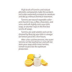 (2 Pack Cedar Large) Cedar Soap Dish - Handcrafted 100% Cedar Wood soap Dish - Soap Saver Dish - soap Dish - Soap Saver, Tray and Holder for Shower, Bathroom and Kitchen - Made in Canada