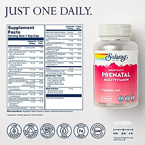 SOLARAY Once Daily Prenatal Multivitamin with Iron & DHA, Prenatal Vitamins and Minerals for Expectant Mothers, Digestion Aid with Morning Ease Herbal Blend & Whole Food Base, 90 Servings, 90 VegCaps