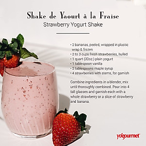 Yogourmet Yogurt Starter (6 Pack) - Make Yogurt at Home - Starter Culture - All Natural, Gluten Free, Kosher, Halal - 3 g Sachets