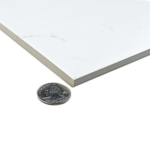 Merola Tile Timeless Calacatta 9-3/4" x 9-3/4" Porcelain Floor and Wall Tile