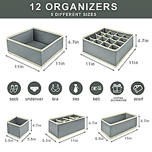 LadyRosian 12 Pack Foldable Drawer Organizers, Storage Boxes, Closet Dresser Drawer Organizer Dividers Fabric Containers Basket Bins for Underwear Bras Panties Ties Socks Baby Cloth (Grey)