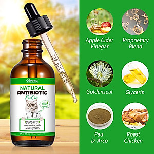 Cat Antibiotics for Infection, Natural Antibiotics for Cats, Cat Multivitamins Liquid, Cat Antibiotic Supports Immune and Cat Allergy Itch Relief, Pet Antibiotics Supplements, Chicken Flavor, 2 Fl Oz