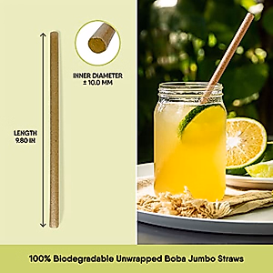 100% Biodegradable Straws (Boba Straws 100 PCS)