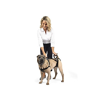 PetSafe CareLift Support Harness - Full Body Lifting Aid with Handle - Great for Pet Mobility and Older Dogs - Comfortable, Breathable Material - Easy to Adjust, Medium