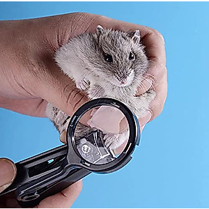 Guinea Pig Nail Clippers with Magnifying Glass Stainless Steel Claw Toenail Trimmer for Small Animal Hedgehog Rabbit Hamster Ferret Hamsters Chinchilla Sugar Glider Pet Grooming Supplies (Black)