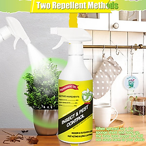 16 oz Peppermint Oil to Repel Mice and Rats, Rodent Repellent Peppermint Oil Spray for Bugs, Mouse, Roaches, Spiders, Ants, Flying Insects and More, Concentrated Formula for Powerful Protection