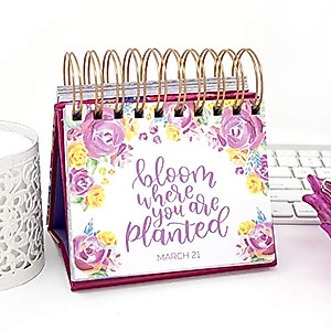 bloom daily planners Undated Perpetual Desk Easel/Inspirational Standing Flip Calendar Office Decor for Women - (5.25" x 5.5")- Hand-Lettered