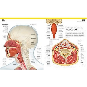 El gran libro del cuerpo humano (The Complete Human Body): Segunda edición. Ampliada y actualizada (DK Human Body Guides) (Spanish Edition)