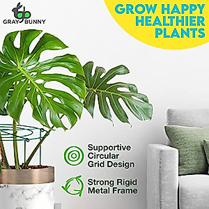 Peony Support, Peony Cage (3 Pack) Extra Large 18” Wide x 24” Height Peony Ring with 4 Legs, Plant Supports for Outdoor Plants, Peonies Cages