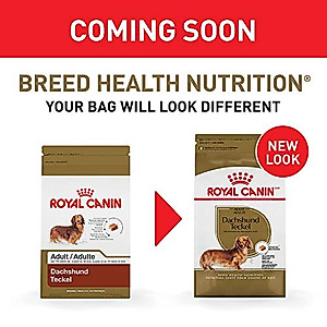 Royal Canin Dachshund Adult Breed Specific Dry Dog Food, 10 lb bag