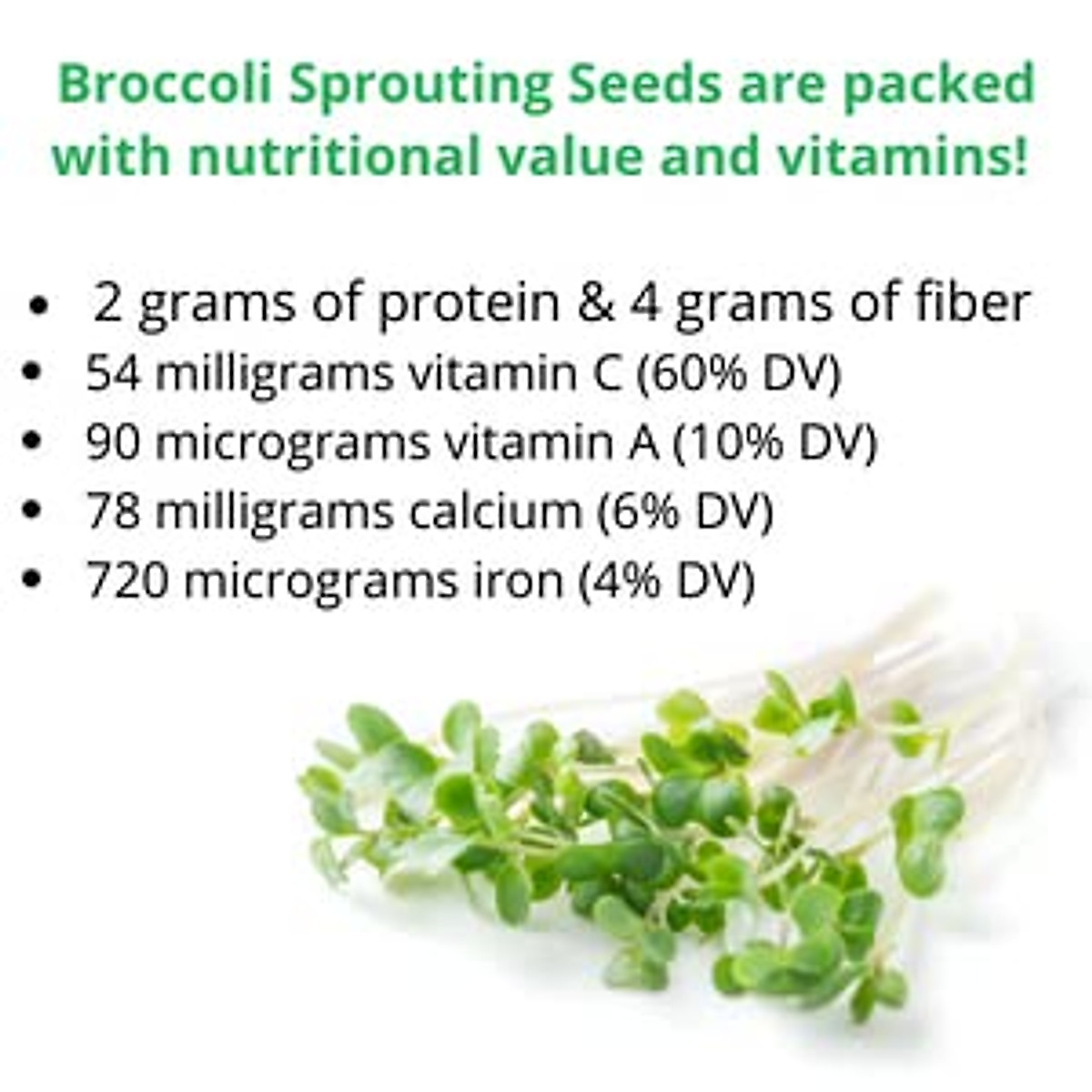 Broccoli Sprouting Seeds | Grown in USA | Non GMO | from Our Farm to Your Table (1 Pound)