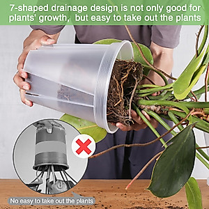 GREENPARA 8-inch Transparent Plastic Garden Pots Planter with Saucer Plant Pot Nursery Pots Drainage Hole for House Plants, Herb, Flowers, and Cactus with Plant Labels, 3-Set