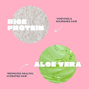 Cake Beauty Volumizing Shampoo, The Big Big Deal– Body Boosting & Weightless Cleansing – With Aloe Vera Rice & Soy Protein – For All Hair Types – 10 Fl Oz / 295 ml