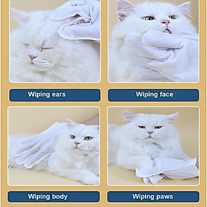 Pet Wipes for Cats, No Rinse Wipes Gloves for Dog Cleaning, Grooming Wipes Dog Cleaning Gloves, Wash Free Deodorizing Wipes, Cat Cleaning Wipes for, Ear, Eye & Paws (6pcs*2)