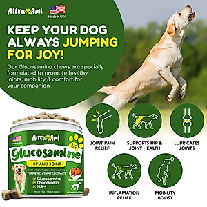 Glucosamine for Dogs - Hip & Joint Supplement for Dogs - Arthritis Pain Relief Chews with Chondroitin, MSM, Turmeric, Vitamin C & E - for Large, Medium & Small Dog - Health Supplies Made in USA