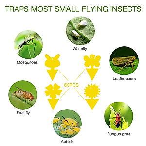 60Pack Fruit Fly Traps Fungus Gnat Traps Yellow Sticky Bug Traps for Indoor Outdoor Plants, Pest Insect Catcher Killer for Whitefly, Fungus Gnat, Mosquito and Bug, Non-Toxic, 4 Shapes