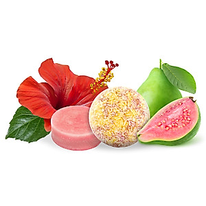 Shampoo & Condition Bars: Includes 1 Shampoo Bar + 1 Conditioner Bar. All Natural, Safe for Color Treated Hair, SLS Free, Shampoo Bars (Hawaiian Hibiscus)