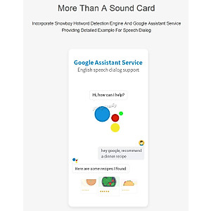 USB Audio Codec for Jetson Nano, USB Sound Card Driver-Free Plug and Play Support Recording and Playback Built-in Microphone and Speaker Header @XYGStudy