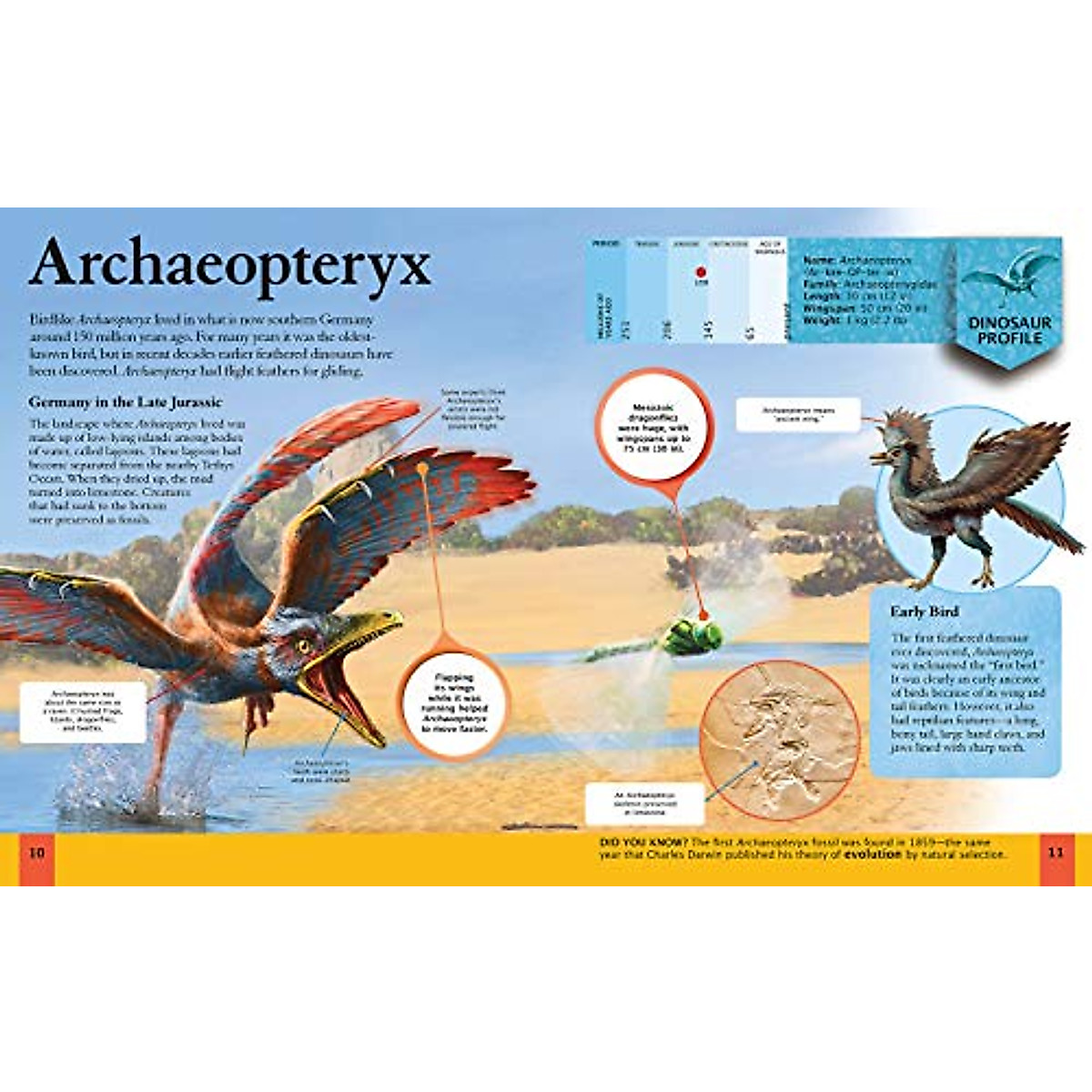 Children's Encyclopedia of Dinosaurs (Arcturus Children's Reference Library, 1)