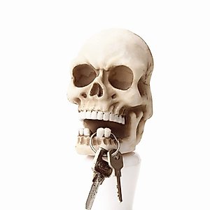 Skull Sculpture Storage Hook Skeleton Wall Mount Resin Creative Ornament Statue for Gift Halloween Party Decor
