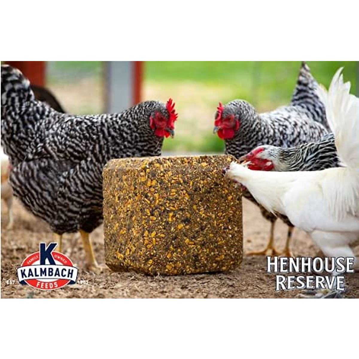 Kalmbach Feeds Henhouse Reserve Supplement Treat Block for Chickens, 20 lb