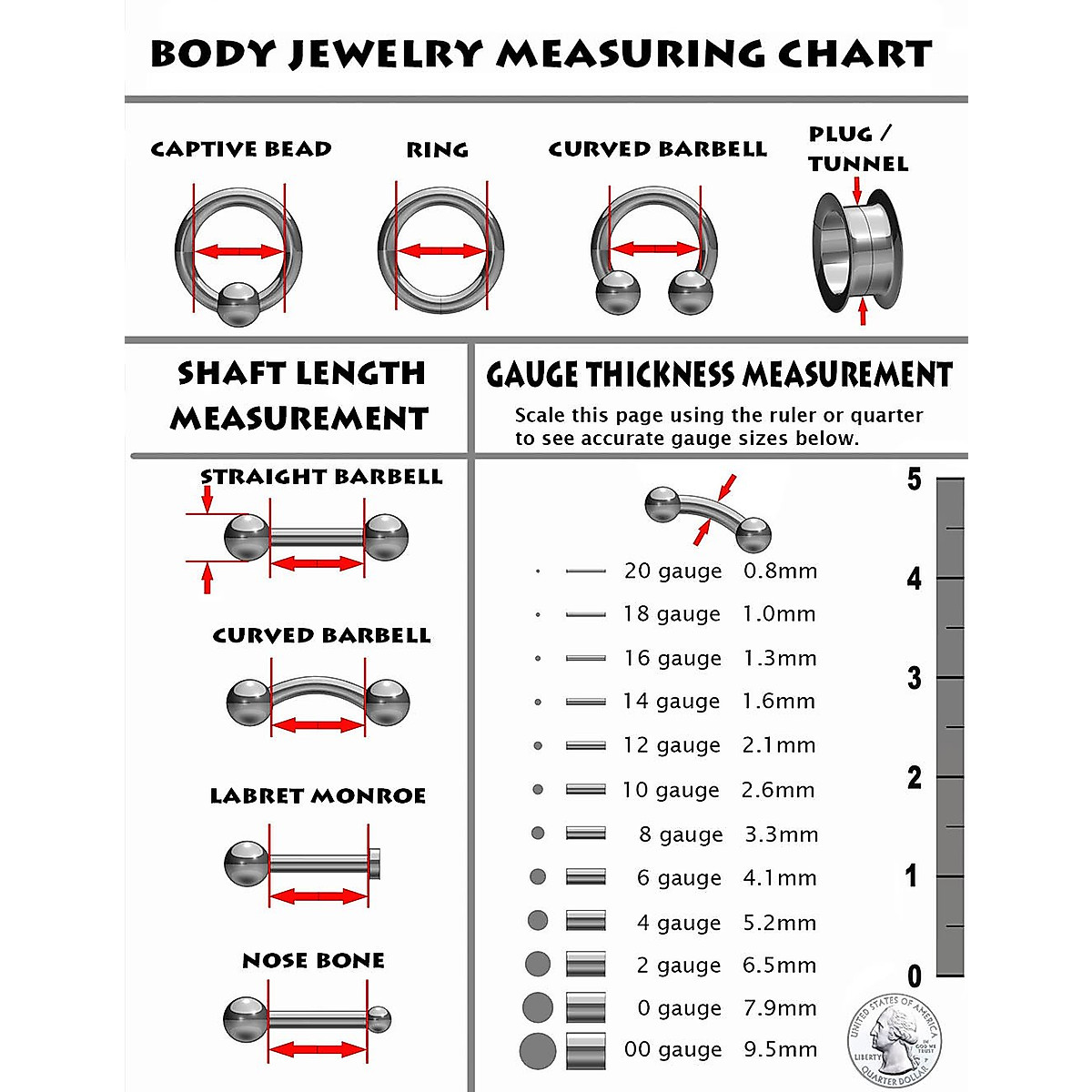 Amelia Fashion Implant Grade Titanium Threadless Push in Labret, Flat Back Studs with CZ Prong Set Top for Cartilage, Monroe, Nose and More (Choose Size) (16GA (1.2mm) L.1/4" (6mm) Ball: 3mm)