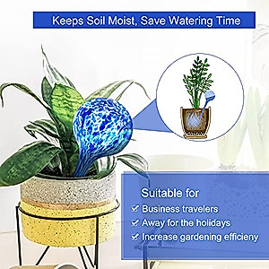 6 Pack Plant Watering Globes -Self Watering Globes Auto-Drippers System Water Globes for Plants-Glass Watering Globes for Plants Watering Irrigation Device for Indoor Outdoor Size 6" L x 2.4" D