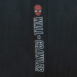 Marvel Spider-Man Boys 2-Piece Fleece Sets, Spiderman Fleece Hoodie and Pants Bundle Set for Boys (Red, Size 4)