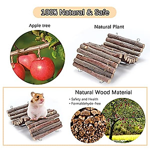DAMPET Hamster Chew Toys, Hamster Activity Toys, Gerbil Rat Guinea Pig Chinchilla Chew Toys, Toys Accessories for Teeth Care,Natural Apple Wood Toys for Hamster, Rabbits, Bunny, Gerbil (Style 4)