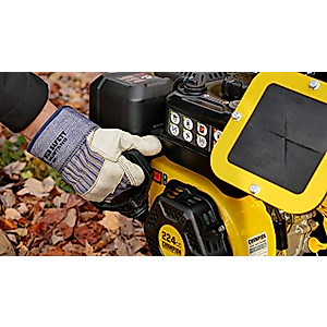 Champion Power Equipment 200905 3-Inch Portable Chipper-Shredder with Collection Bag