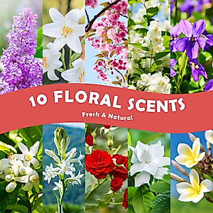 Floral Essential Oils, Holamay Premium Fragrance Oil for Candle Making, 5mlx10, Soap Making Scents - Rose, Jasmine, Neroli, Gardenia, Lilac and More, Aromatherapy Oils for Diffusers for Home