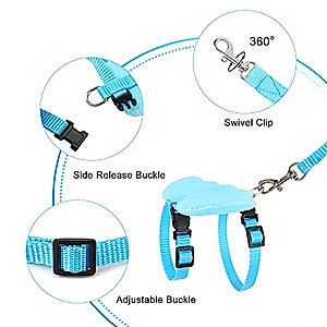 Filhome 2 Pack Adjustable Rabbit Bunny Harness and Leash Set with Wings, Vest Harness for Rabbit Ferret Bunny Kitten Guinea Pig Walking(XS/Blue and Pink)