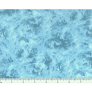 Quilt Backing, Large, Seamless,Blue, C49594-415