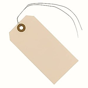 Label Tags with Wire Attached - 4 3/4" x 2 3/8" Box of 100 Blank Tags with Reinforced Hole and Metal Wire Ties, Labels with Wire