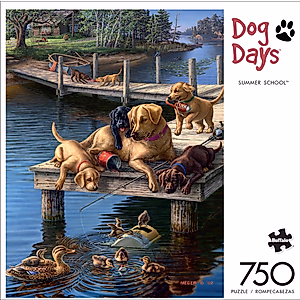 Buffalo Games - James A. Meger - Summer School - 750 Piece Jigsaw Puzzle for Adults -Challenging Puzzle Perfect for Game Nights - Finished Size is 24.00 x 18.00