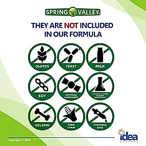 Zinc Adult Organic Vegetarian Gummy, Optimal Immune System Support, 22mg, 60ct Bundle With Exclusive "Vitamins & Minerals A To Z" - Better Idea Guide (2 Items)