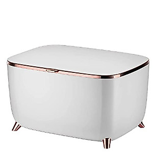 REKIRO Mini Fridge Portable Thermoelectric 9 Liter Cooler and Warmer for Skincare, Eco Friendly Beauty Fridge for Foods,Medications, Cosmetics, Breast Milk, Medications Home and Travel